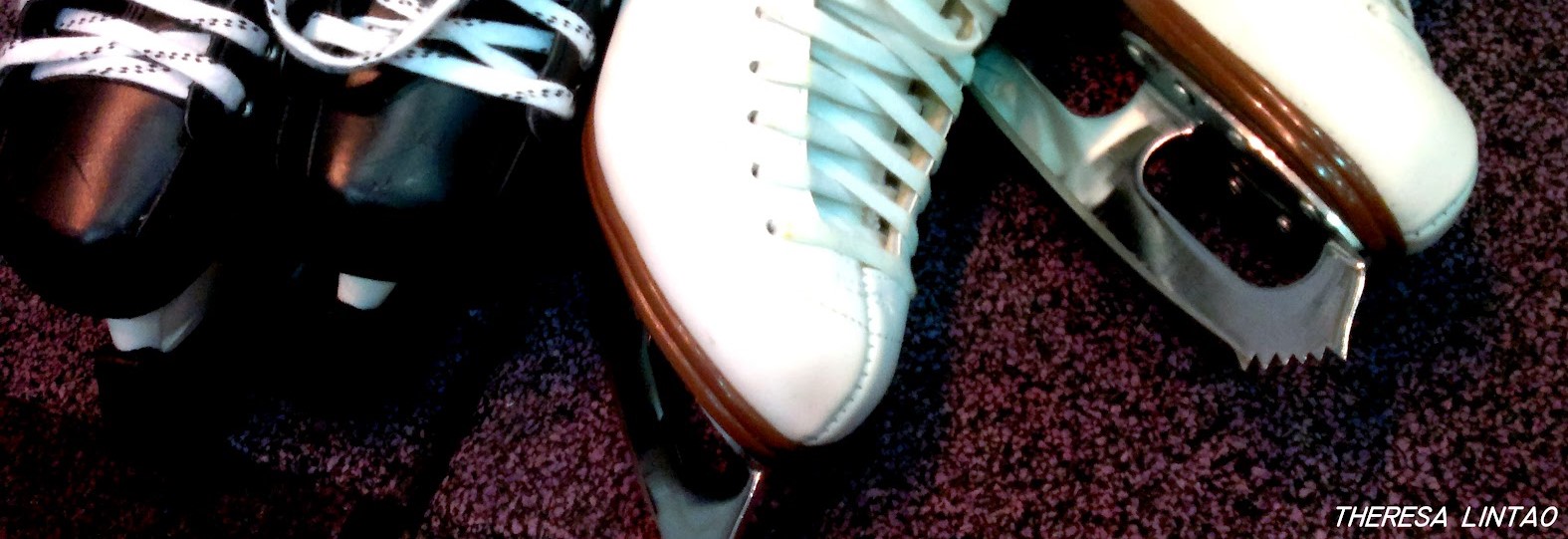 Equipment Checklist :: Bedford Skating Club